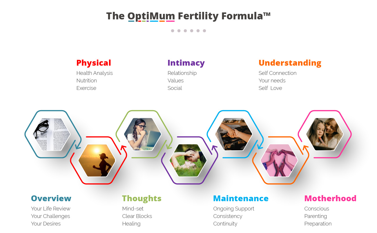 The Website of The Fertility Coach